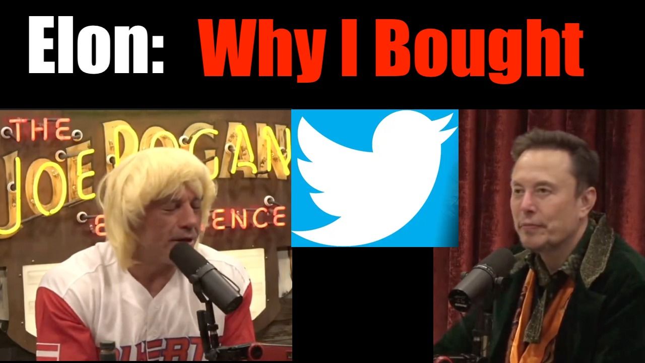 Elon Describes Why He Bravely Spent his Nest Egg on Twitter -- Tik Tok ...