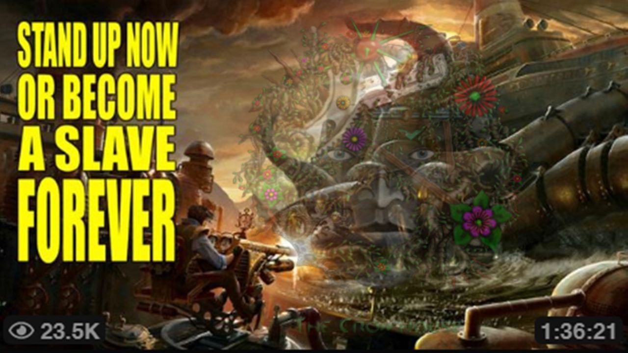 STAND UP - The Crowhouse - Brighteon.com