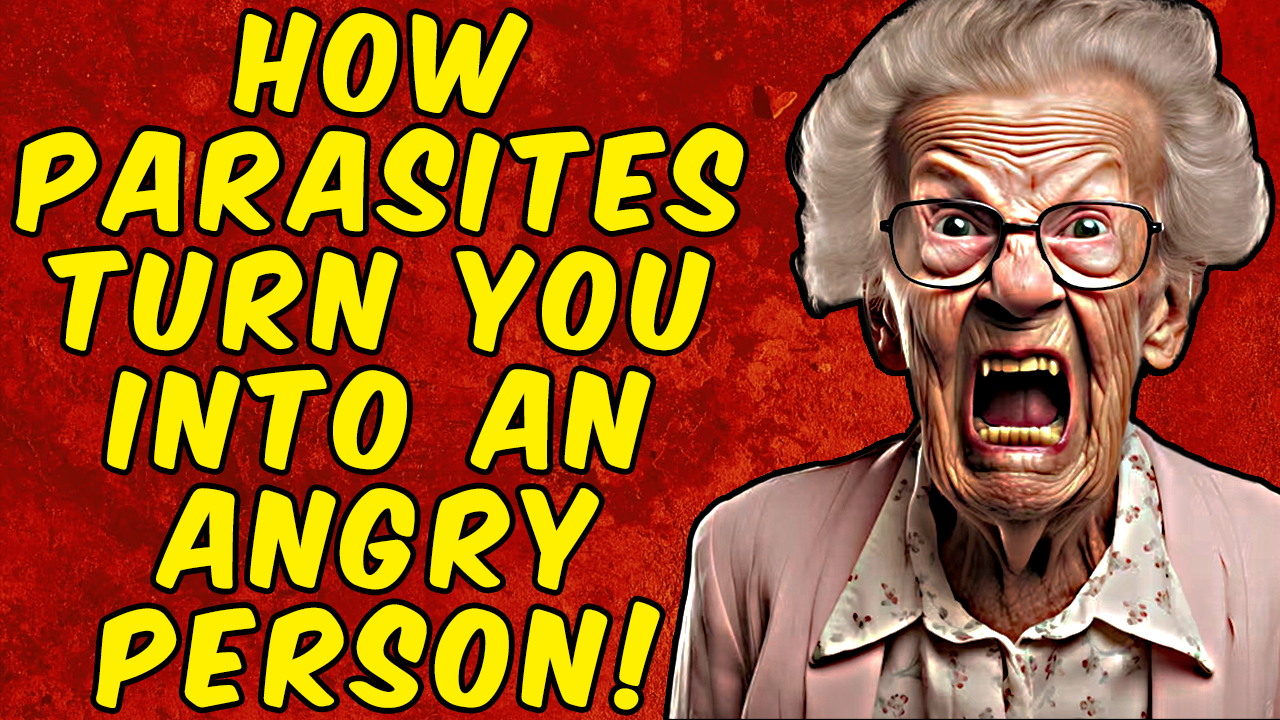 How Parasites Turn YOU Into An ANGRY PERSON! - (Science Based ...