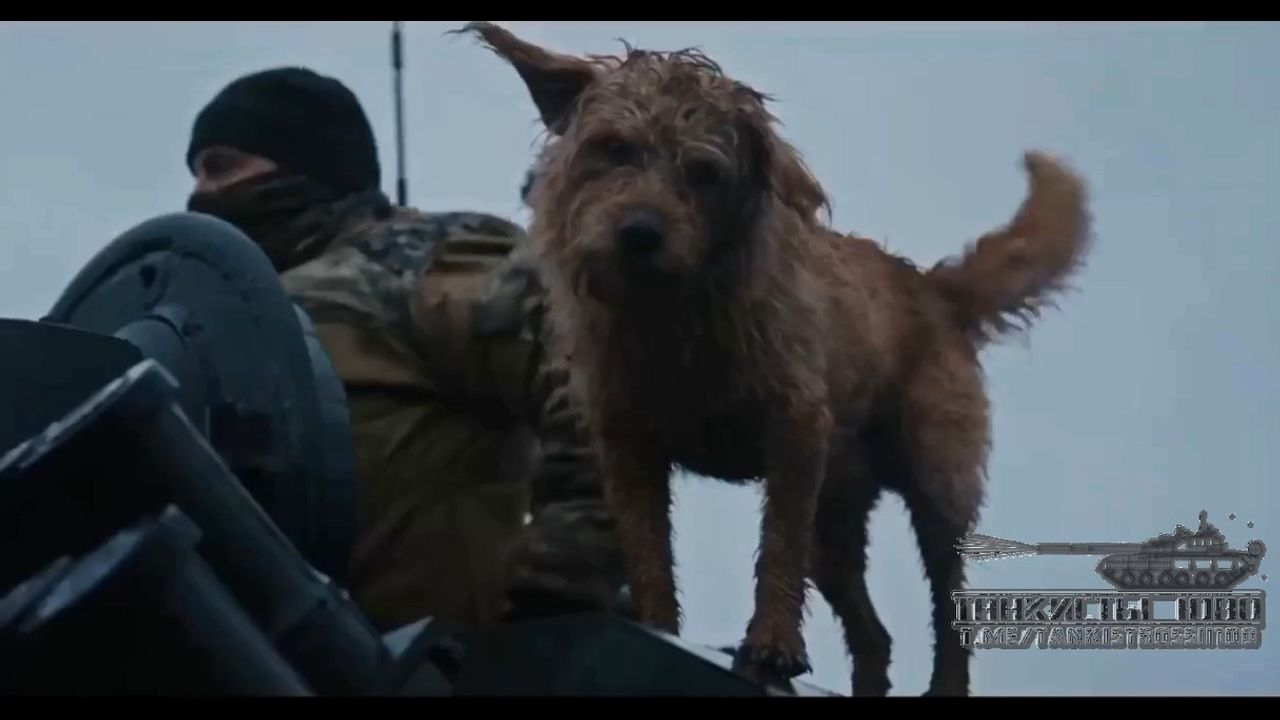 🐕Without Words - Russian Tank Dog 🥰 - Brighteon.com