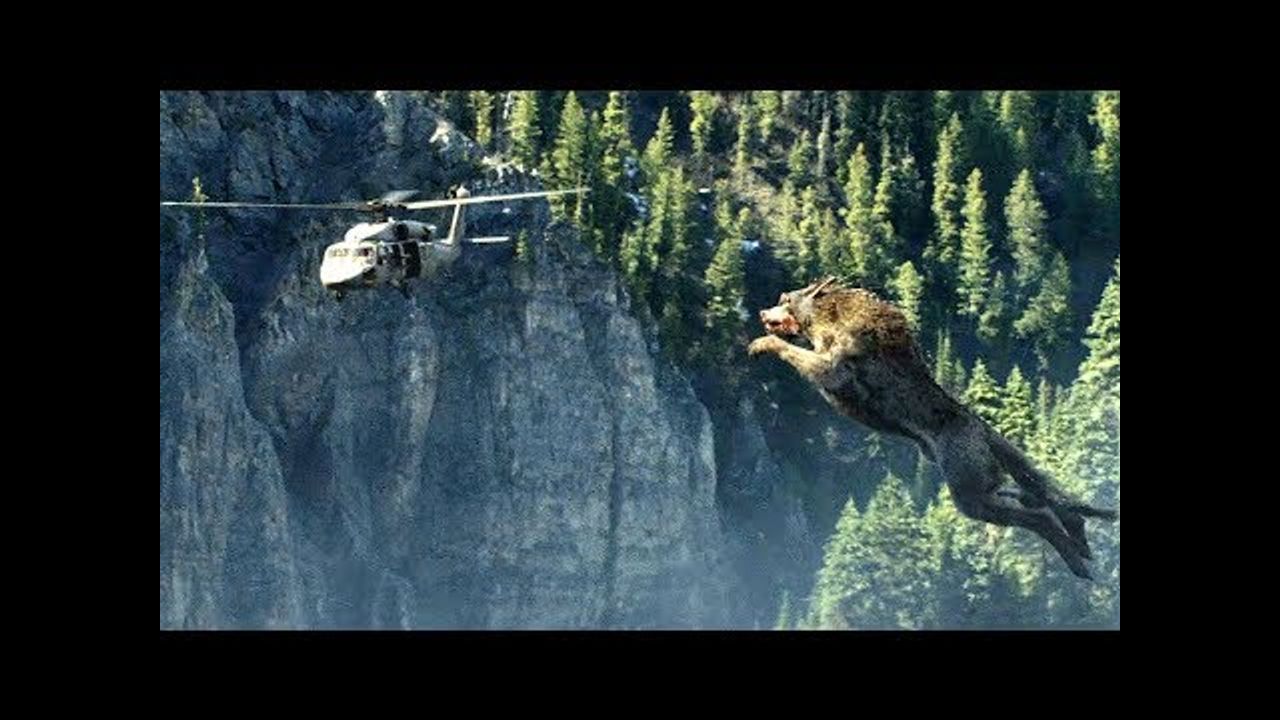 man vs wolf - Brighteon.com