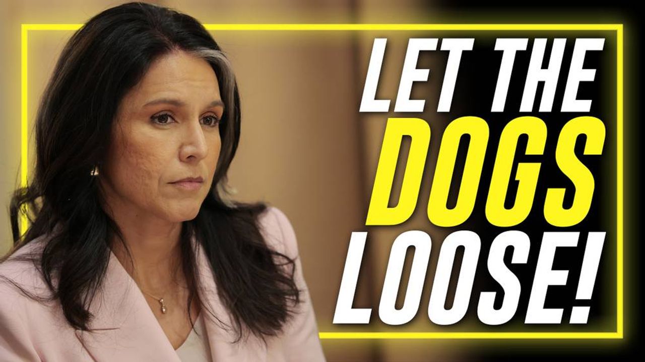 Let The Dogs Loose!!! Alex Jones Calls On President Trump To Bring DNI Tulsi Gabbard Into The ...