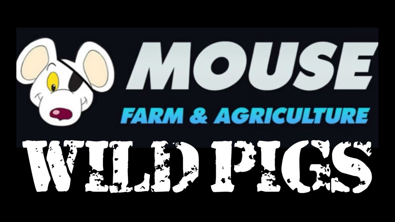 MOUSE FARM WILD PIGS - Brighteon.com