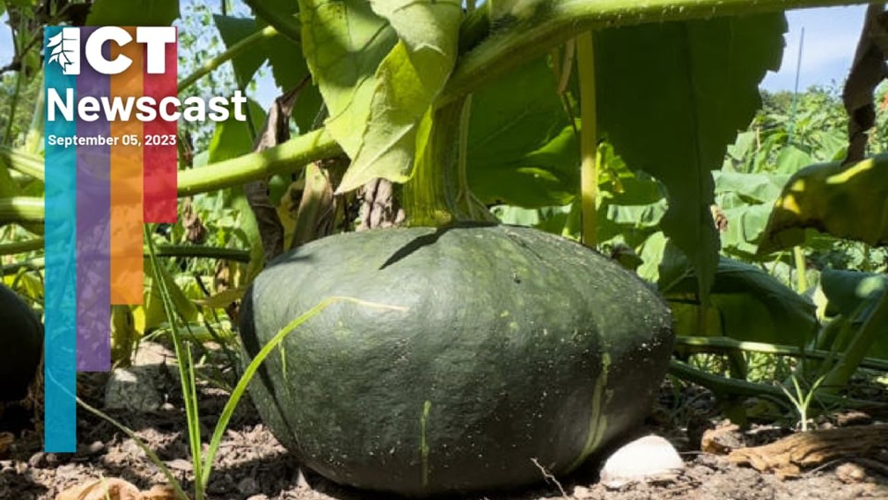 Aliyah Chavez (Kewa Pueblo): Tribes partner for resource management ...