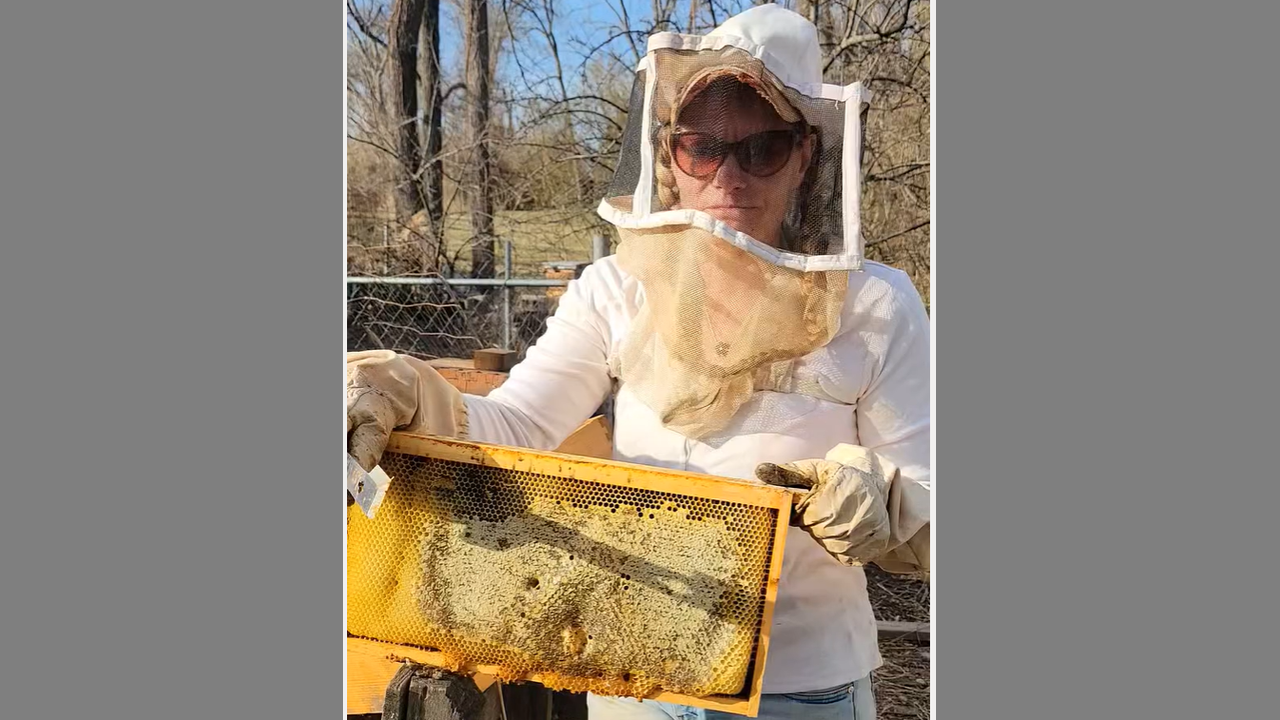 The Best Part of Keeping Bees Honey Failed Hive Still Has Honey ...