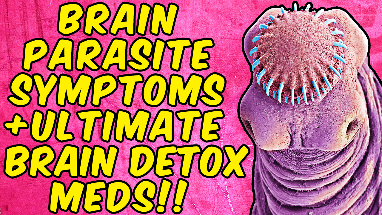 Brain Parasite Symptoms + The Ultimate Brain Parasite Detox Meds ...