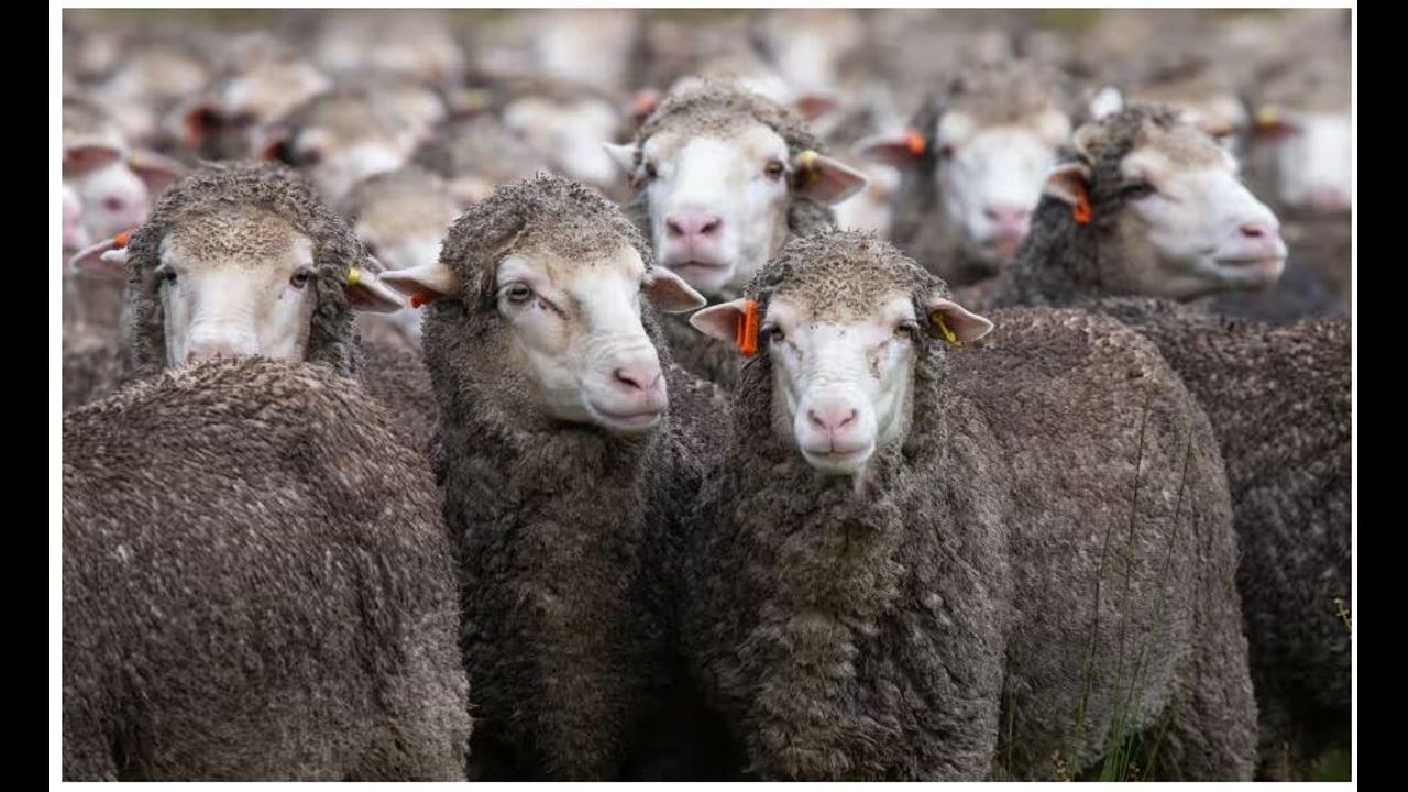 Dr 'Tom Bennett shared his understanding about virus' that is unlike ...