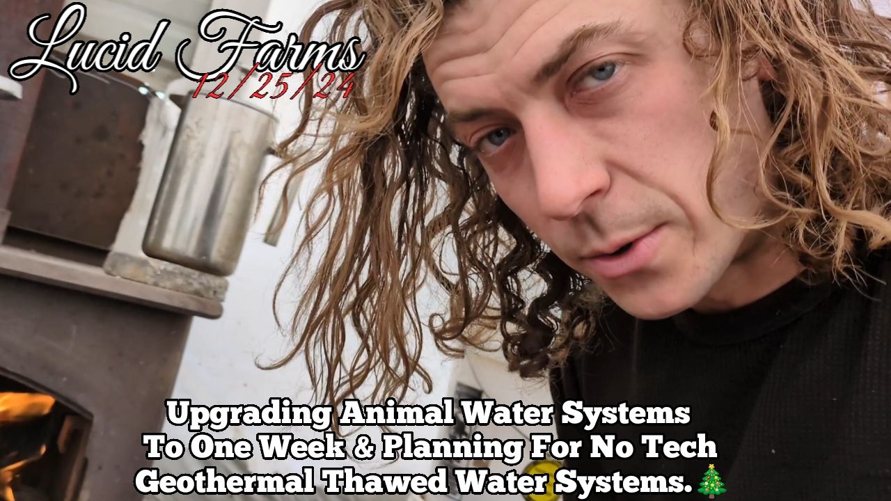 Upgrading Animal Water Systems To One Week & Planning For No Tech ...