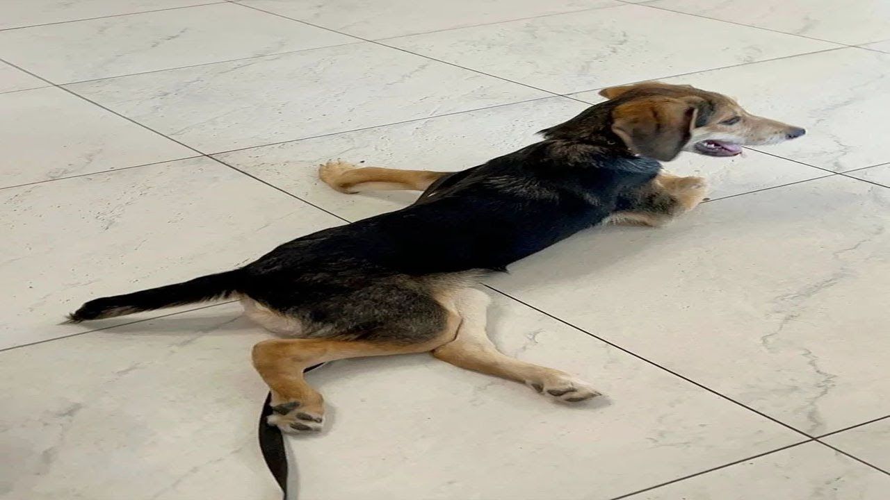 Even though he was a joke to the children in the village, he still ...