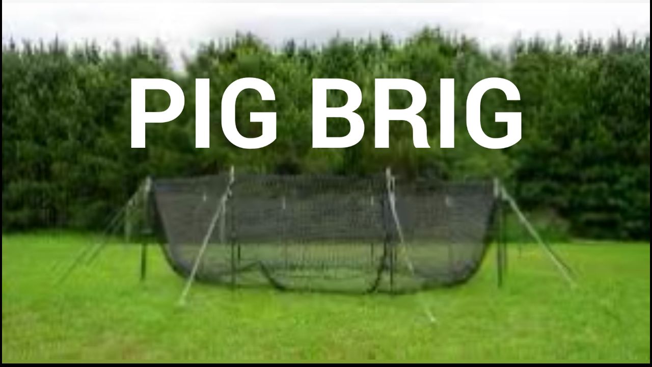 PIG BRIG - Brighteon.com