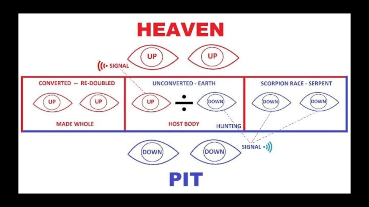 The Understanding of BOTH Halves of the EQUATION for PERFECTION in ...