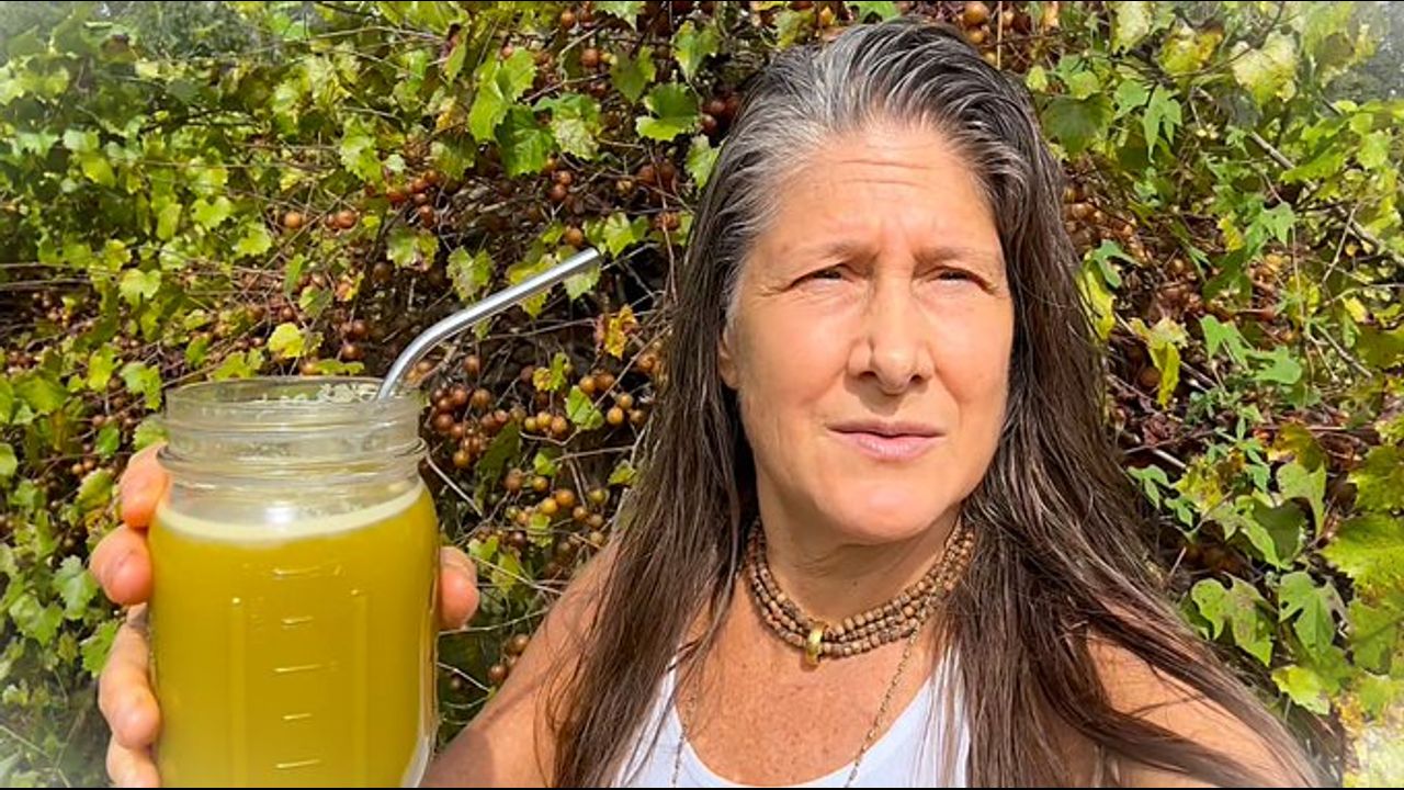 Grape Vines Florida October Garden Fresh Juice Heidi Rose Homesteading ...