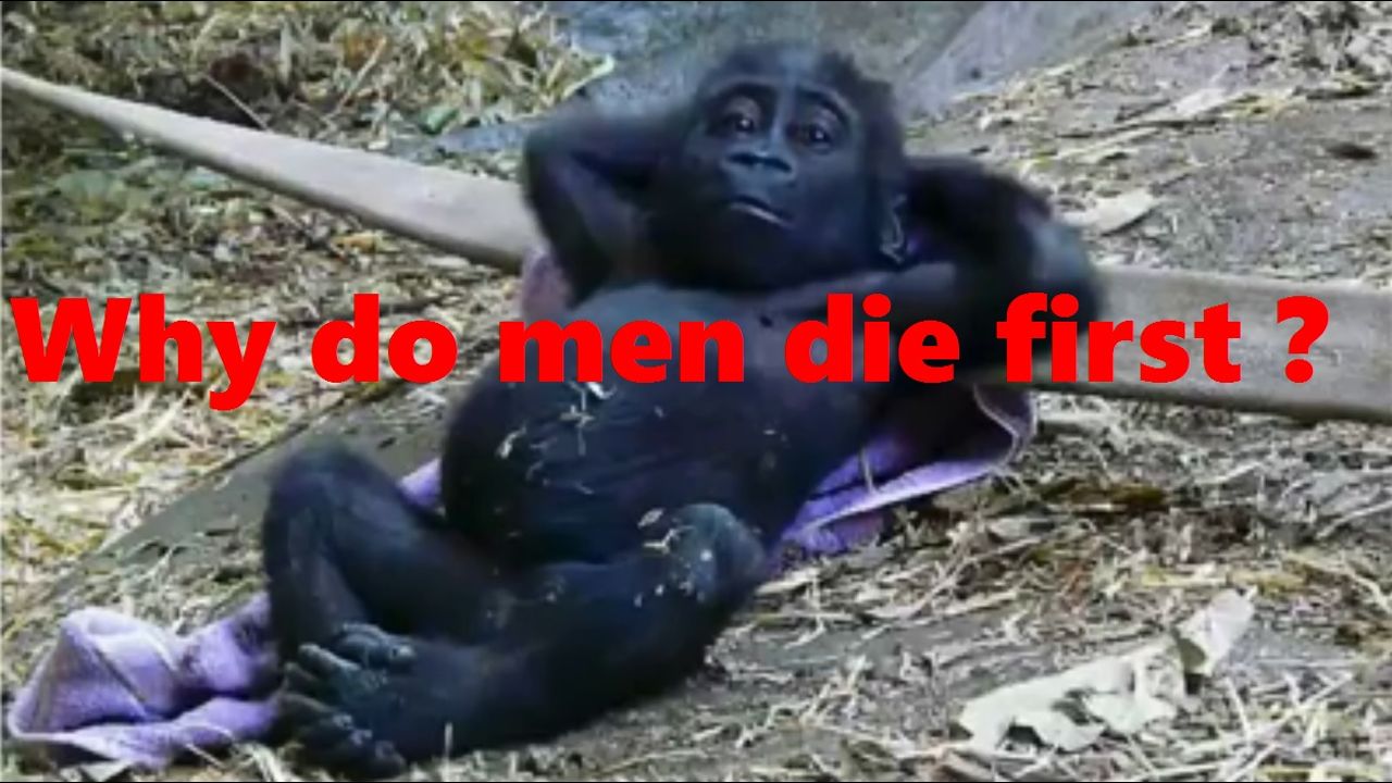 Why do men die first ?? - Brighteon.com