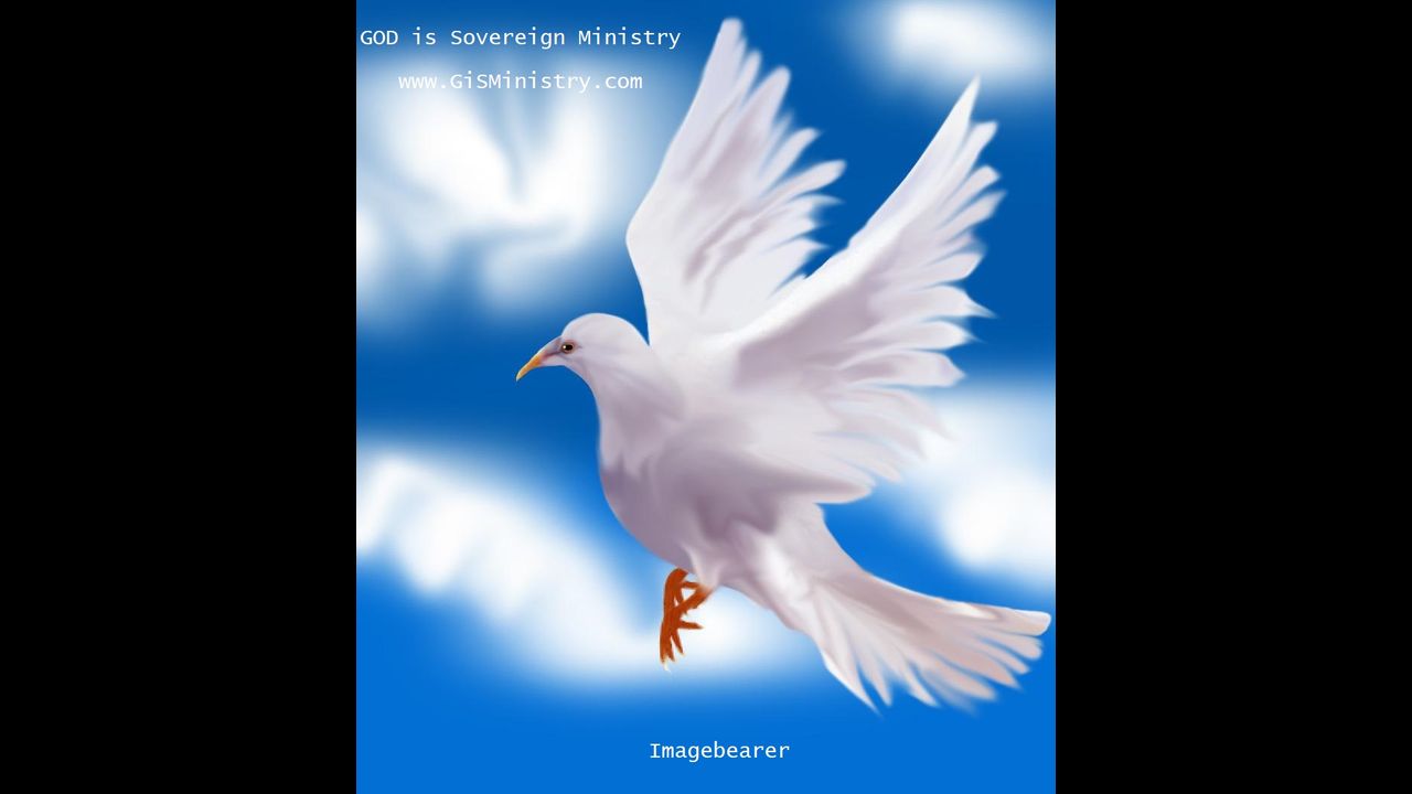 An Overview of: The Book of Titus - Brighteon.com