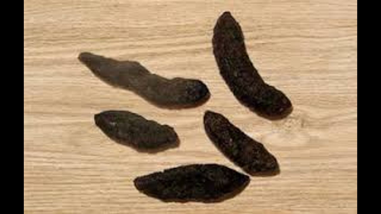 THINGS ARE TRUNING TO RAT SHI.. - MAIL, FAMILY, JOBS, PRICES ...