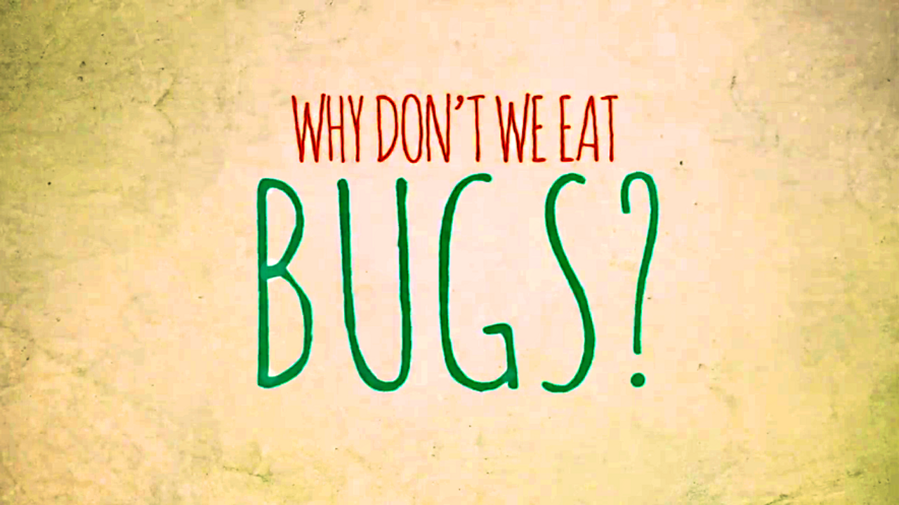 Why Don't We Eat Bugs? - Emma Bryce - Brighteon.com