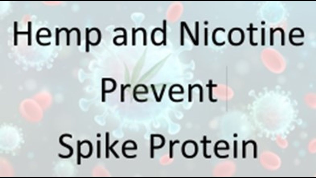Hemp and nicotine prevent spike protein - Brighteon.com