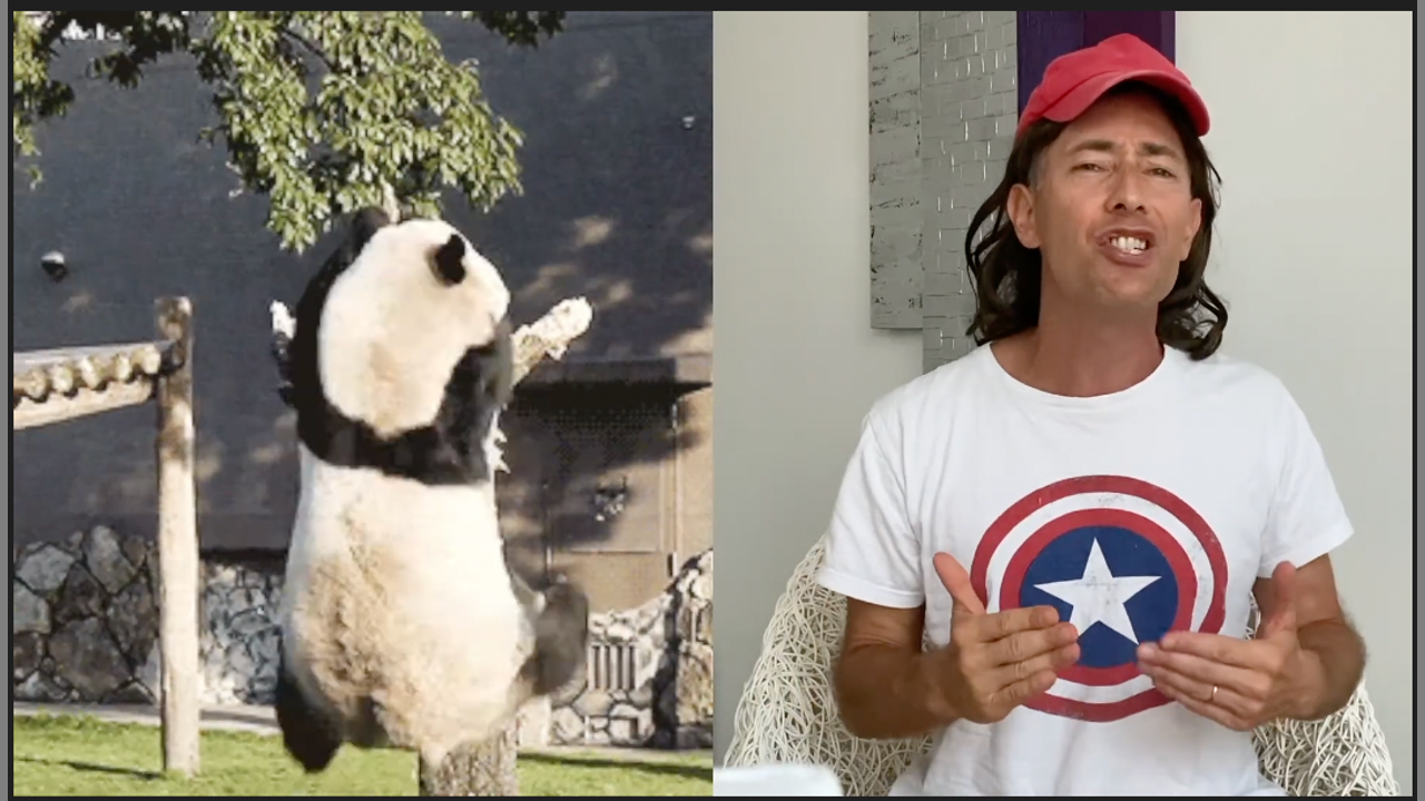 ERNEST BIGOT: Skinny People OWE REPARATIONS to Fatties for Mocking Them ...