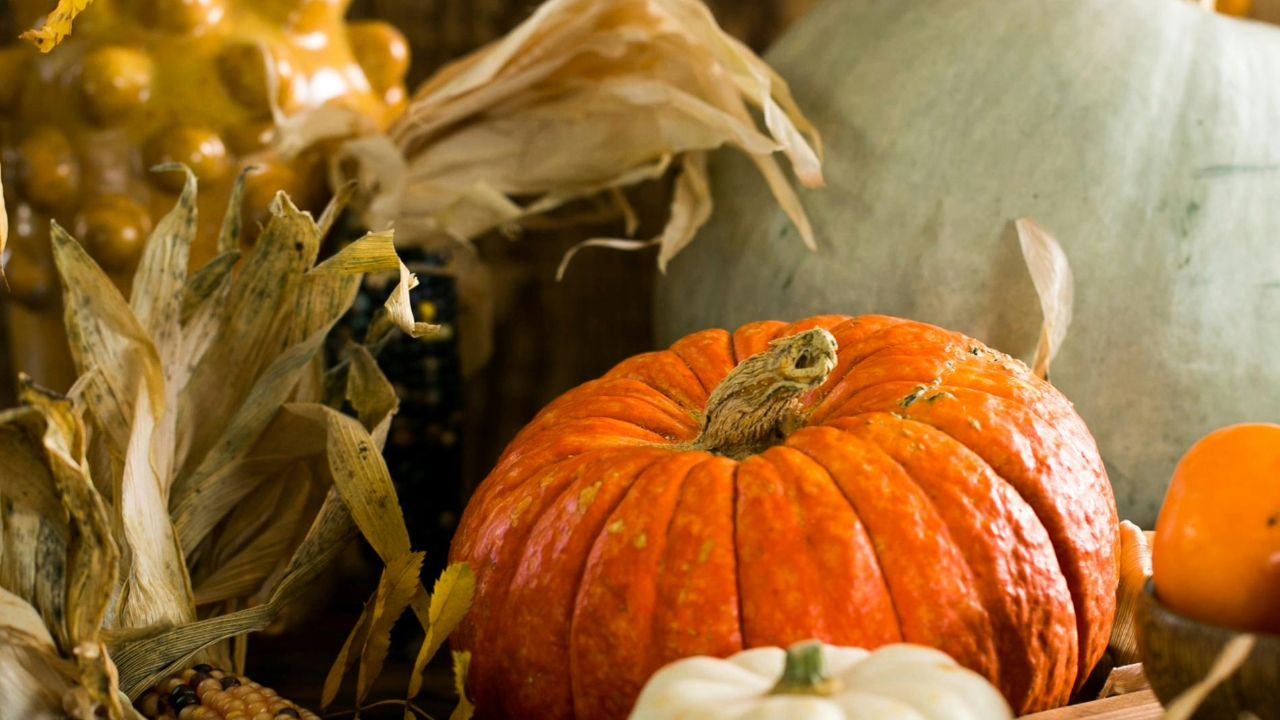 The Origin Of Thanksgiving And God's Word On The Matter - Brighteon.com