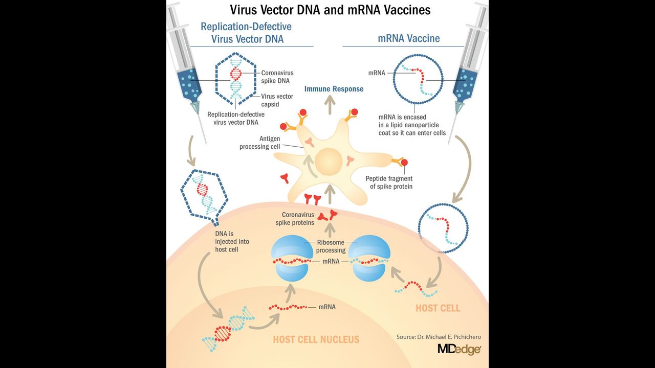 Karen Kingston - Vaccine and Fake-Meat Starter Nutrient ExpiFectamine ...