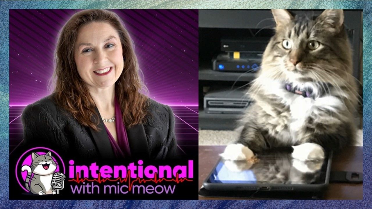 'Intentional' Episodes for Thanksgiving Week 2024 - Brighteon.com