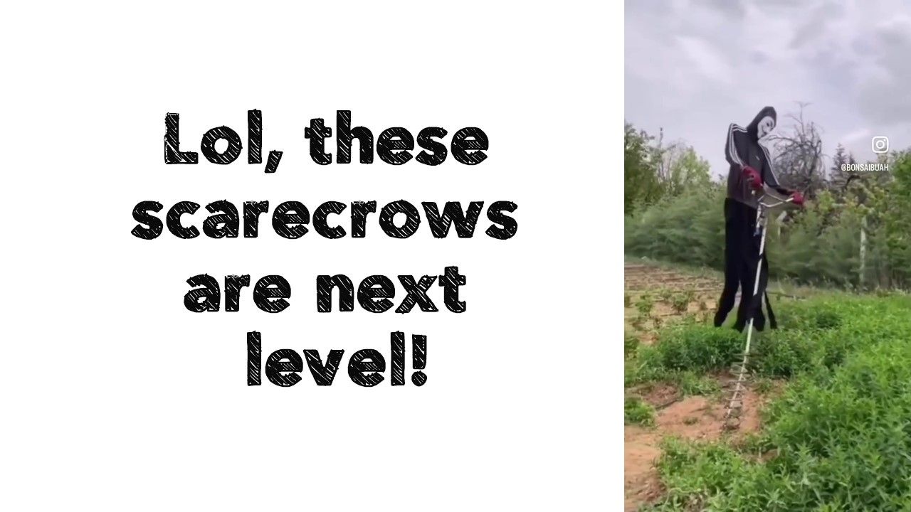 Lol, these scarecrows are next level! - Brighteon.com
