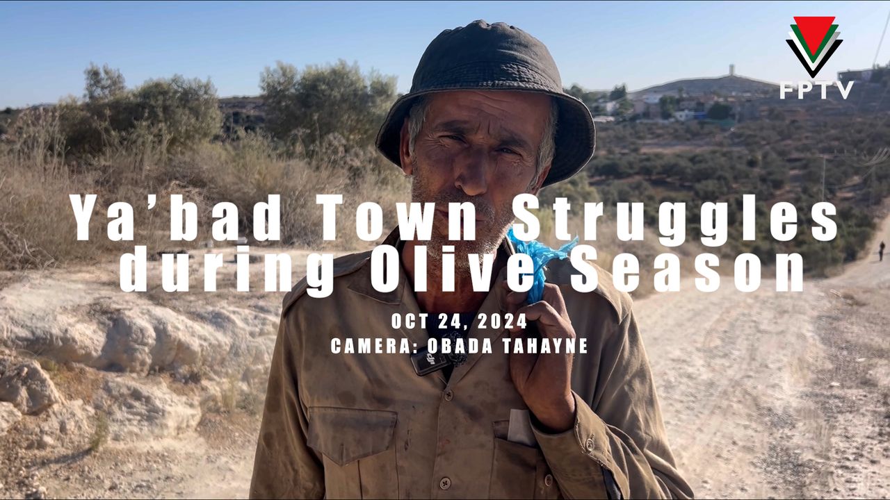 Ya'bad Struggles with Zionist Obstacles During Olive Season - Brighteon ...