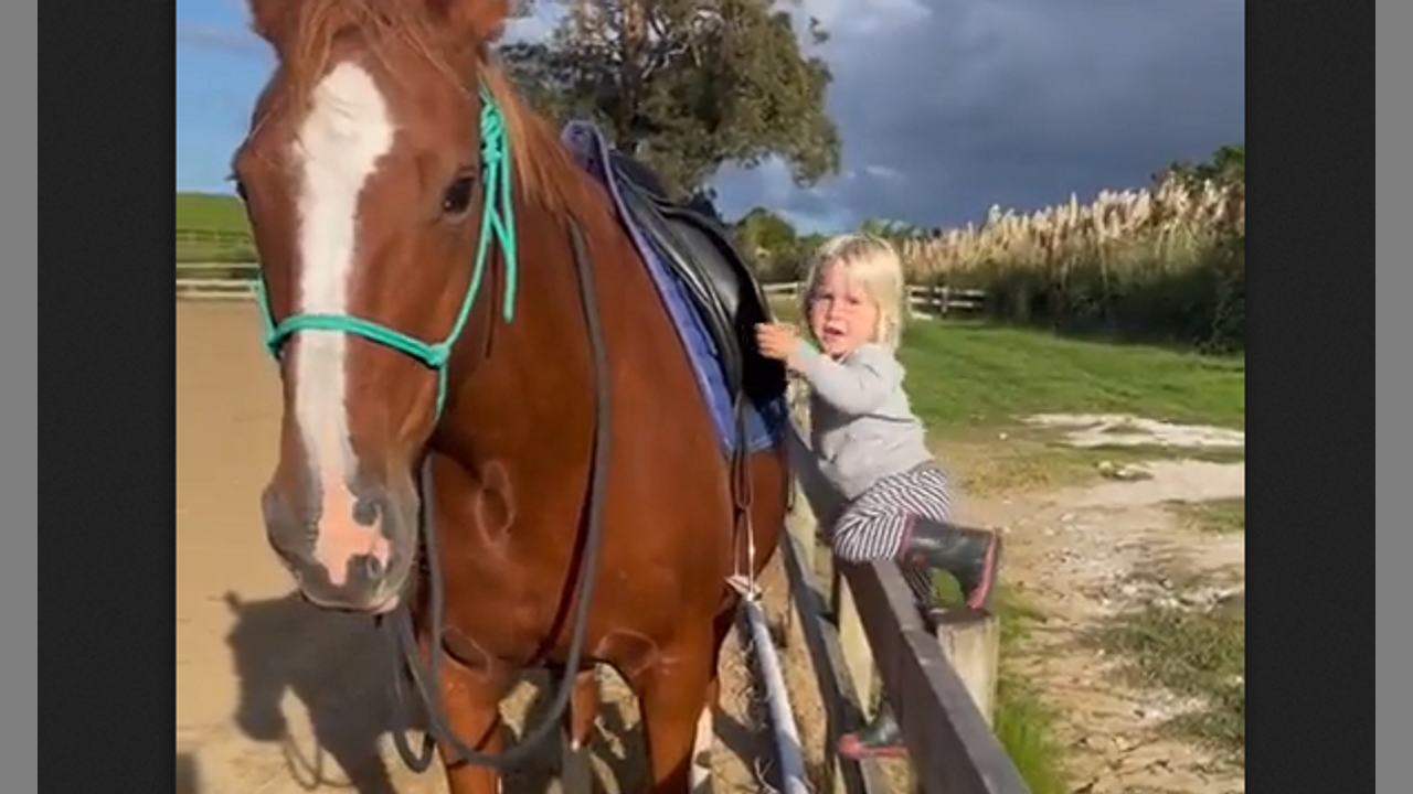 Young Boy Mounting His Horse - Climb Lil Buddy, Let's Go For A Ride ...