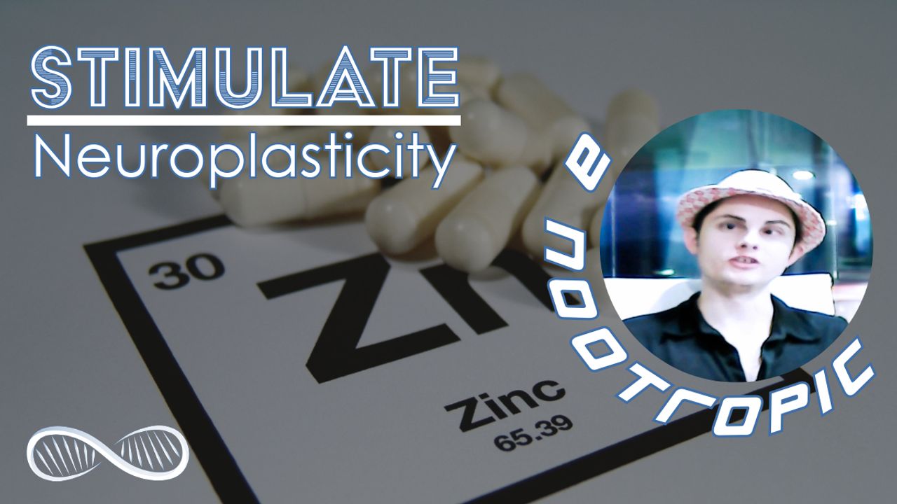 Zinc as a Nootropic: A player of ubiquitous biological roles in the ...