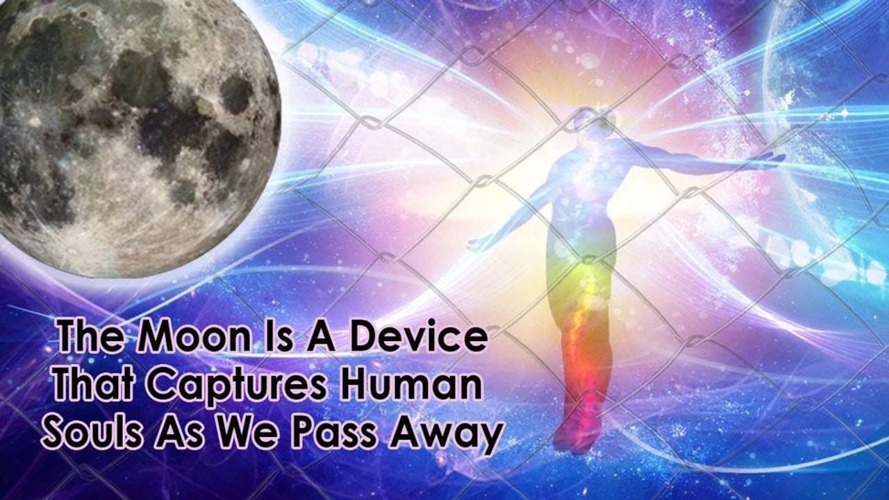 Soul Scalping and the Tunnel of Light. The Afterlife Council resides on ...