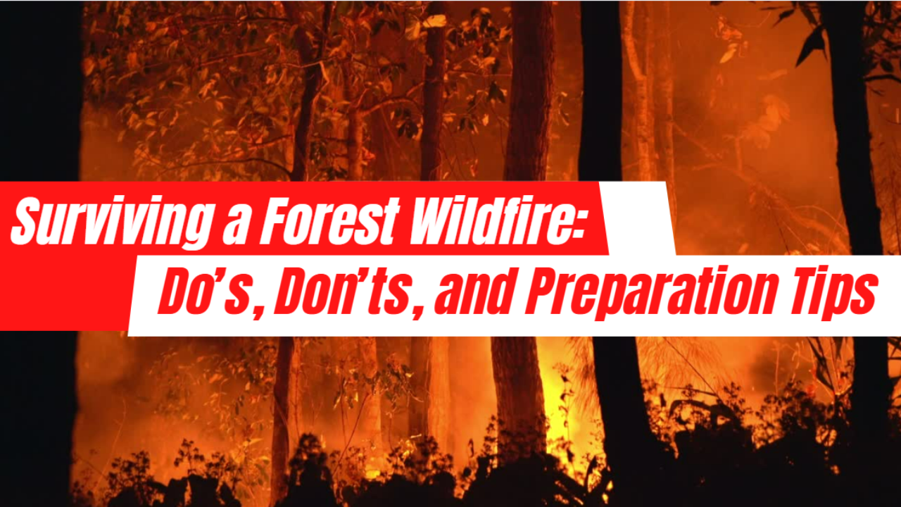 Surviving a Forest Wildfire: Do’s, Don’ts, and Preparation Tips ...