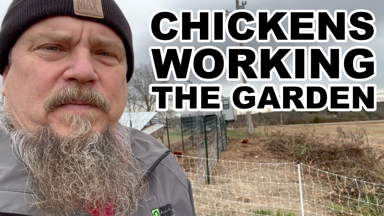 Juggling the Projects - Brighteon .com