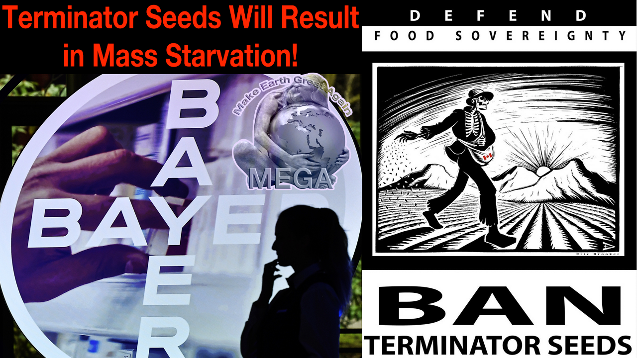 Terminator Seeds Will Result in Mass Starvation! - Brighteon.com