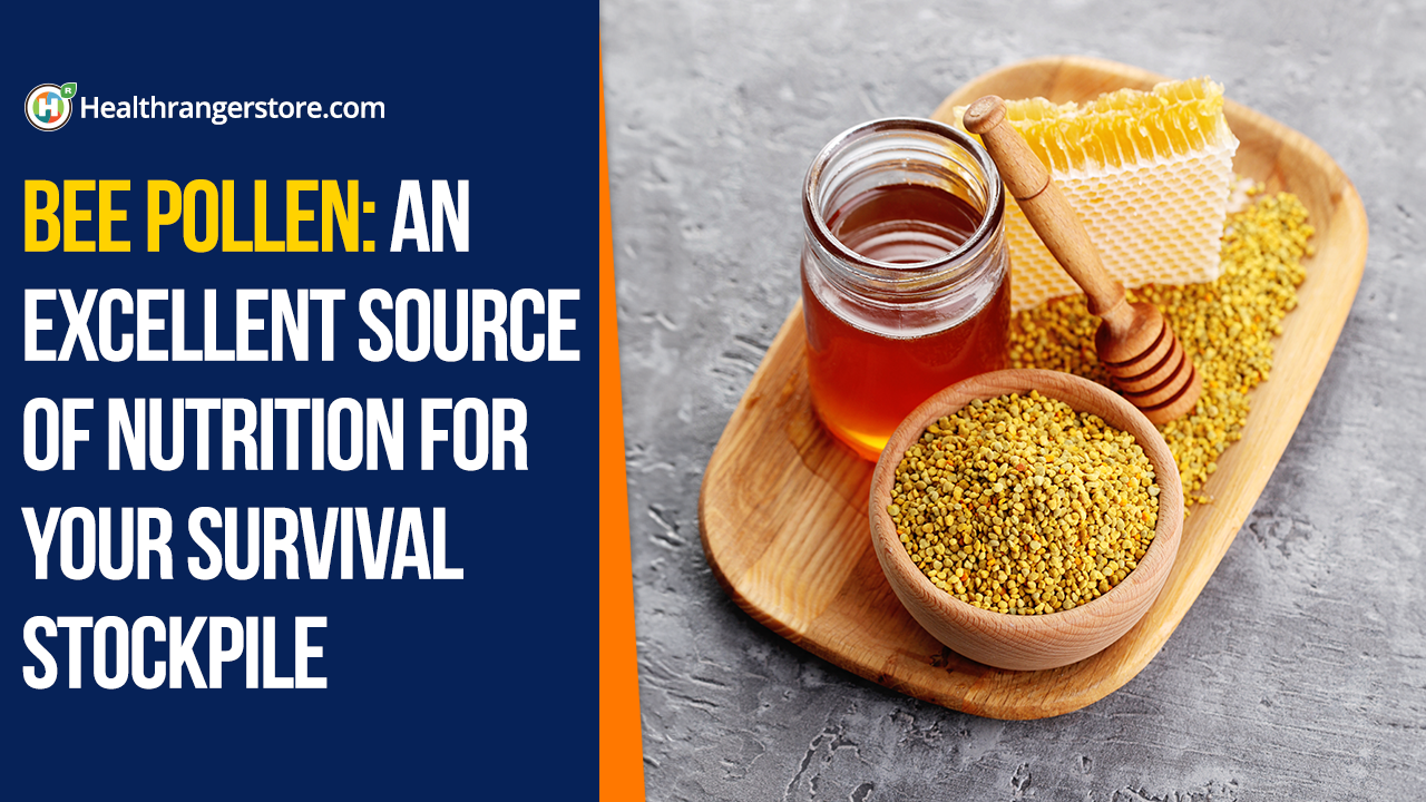 Bee Pollen: An excellent source of nutrition for your survival ...