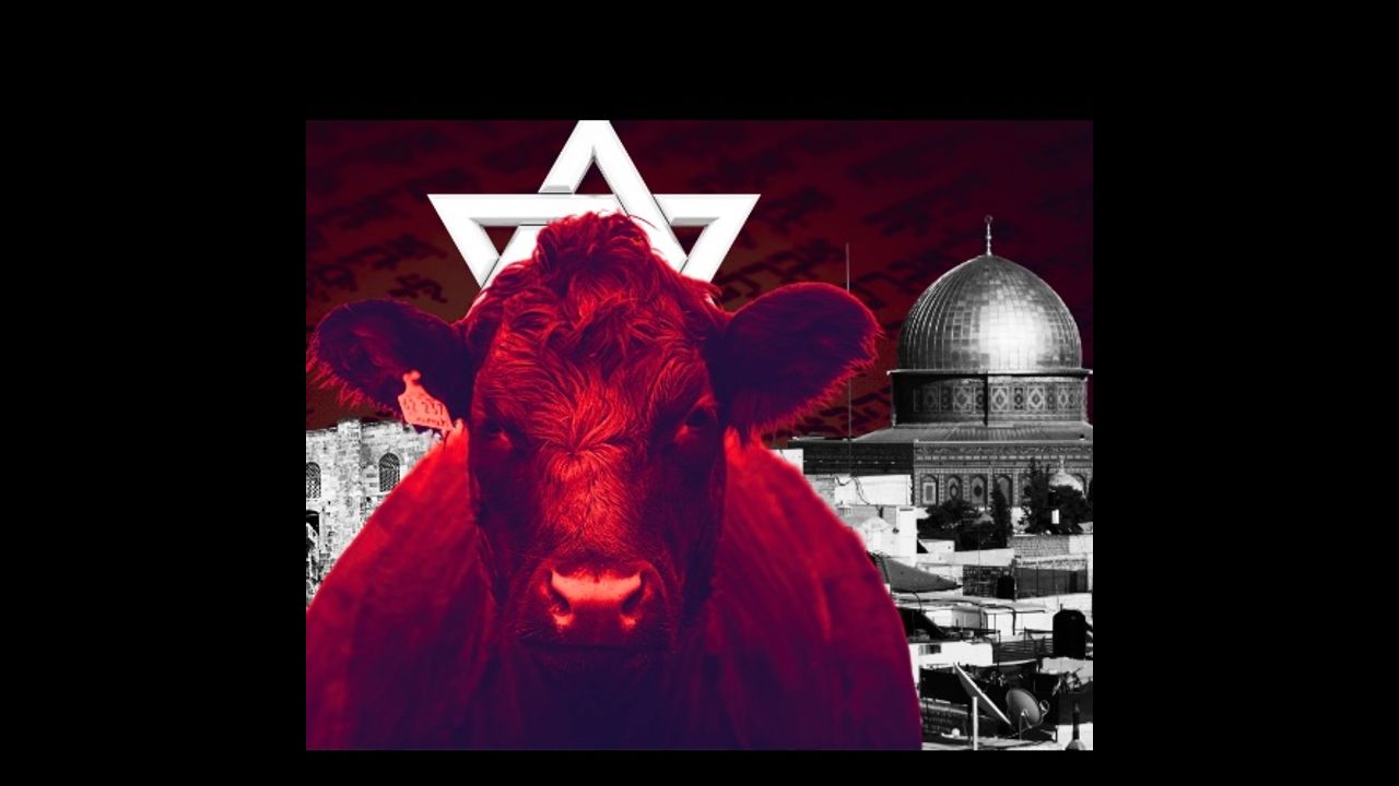 70 weeks of Daniel, The Qodesh Calendar - Brighteon.com