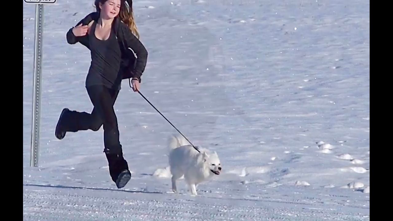 Let the good times roll. The Cars. Dogs 🐶 in winter ️ - Brighteon .com