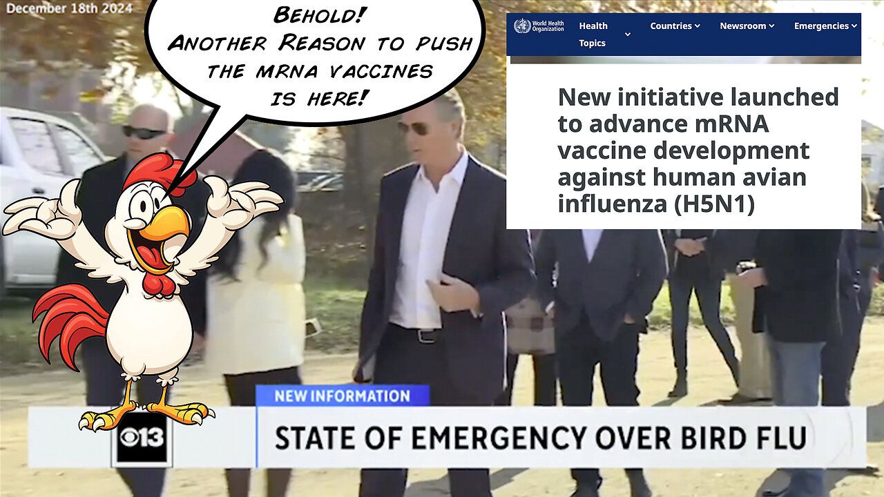 Bird Flu | "Most pregnant women and unborn babies who contract bird flu ...