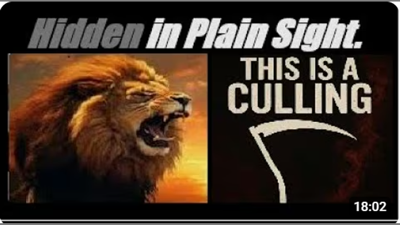 A DEATH LOOP IS IN PLAY. AMERICA IS BEING CULLED... AND "SHADOW" SYSTEM ...