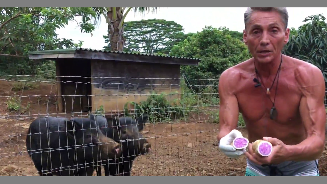 Parasite Experiment With Pigs by Dr. Robert Cassar - Brighteon .com