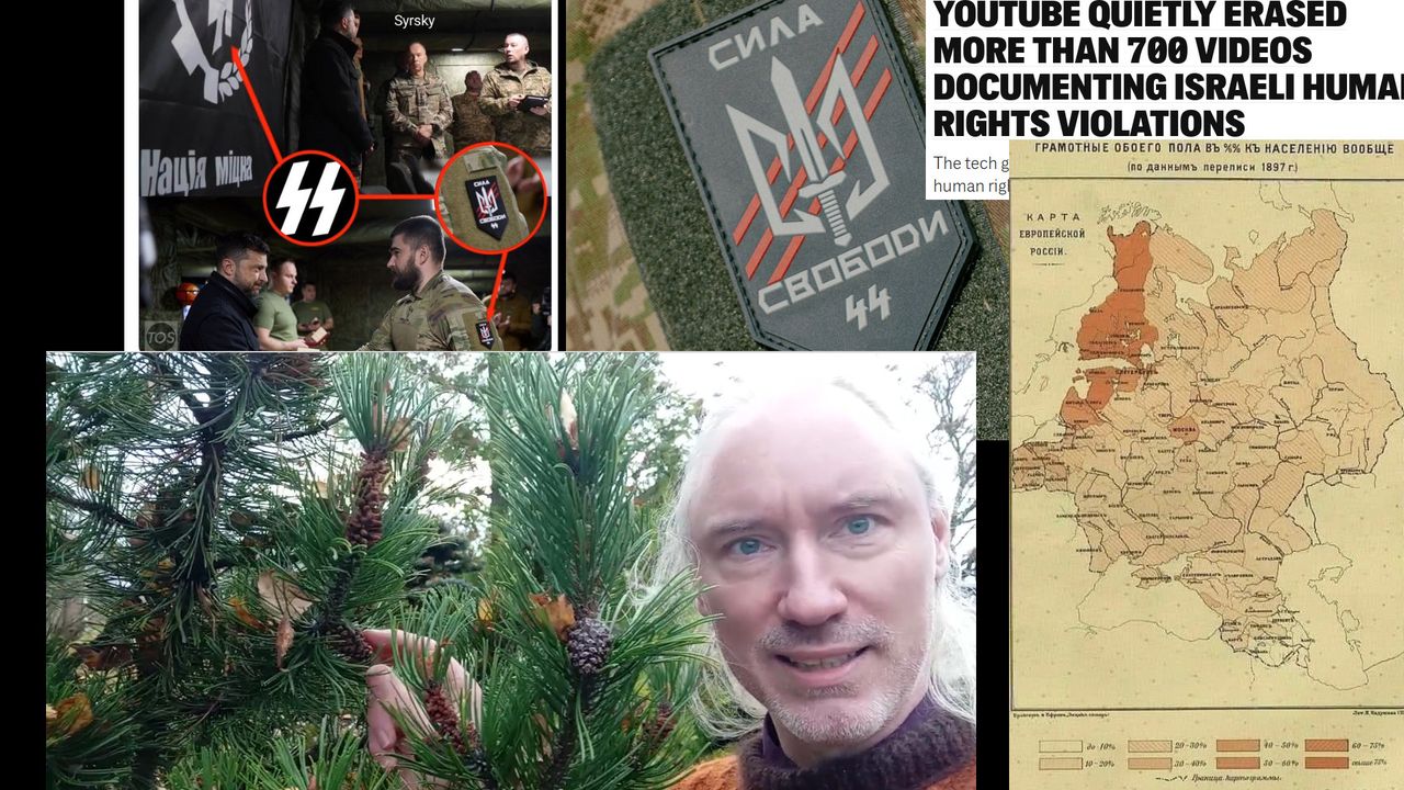 𝕏 scams site-owners. 1st rule of persuasion. Brightu.ai. Ukrainian ...