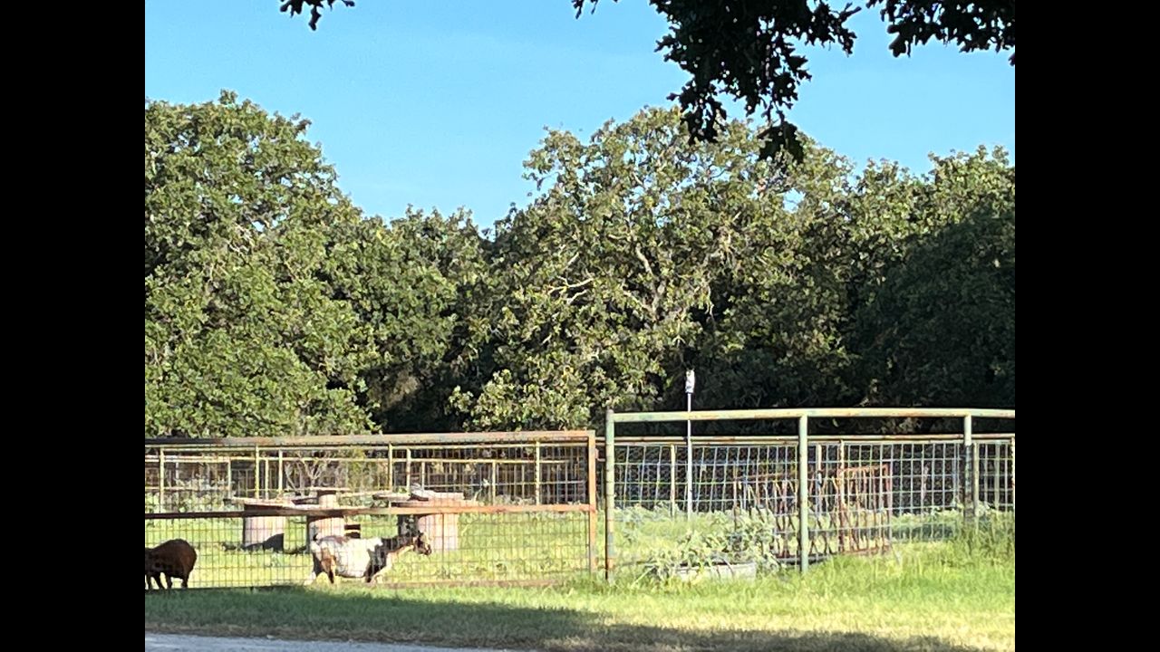 Day 117, Rev 8:10 “A Defiled Church” - Brighteon.com