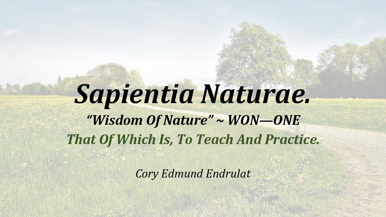 Sapientia Naturae. The Wisdom Of Nature (Full Presentation 2022 ...