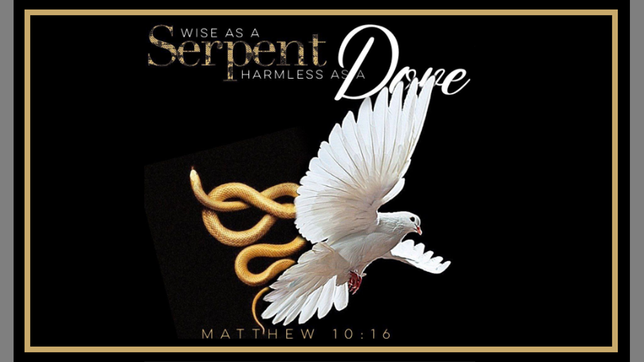 "WISE AS A SERPENT, HARMLESS AS A DOVE"...a STRONG message from The ...