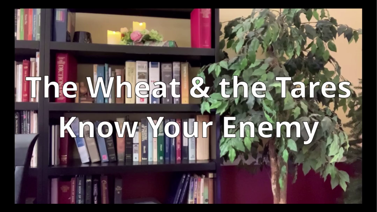 The Life of Jesus Lesson 43 | The Wheat & the Tares | Know Your Enemy ...