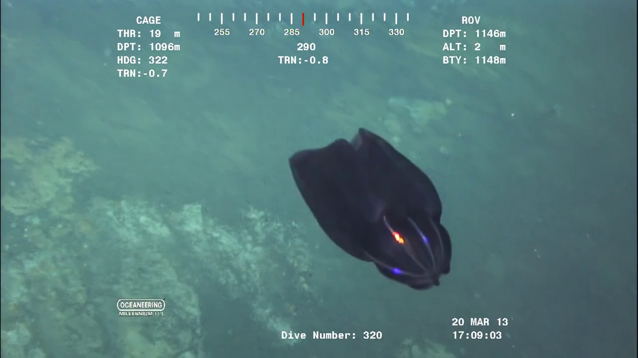 PROOF THAT ALIENS EXIST - Reptilians Shapeshifters - FrequencyFence ...