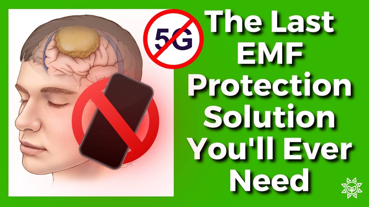 One-Time Purchase, Lifetime Protection: Revolutionizing EMF Protection ...