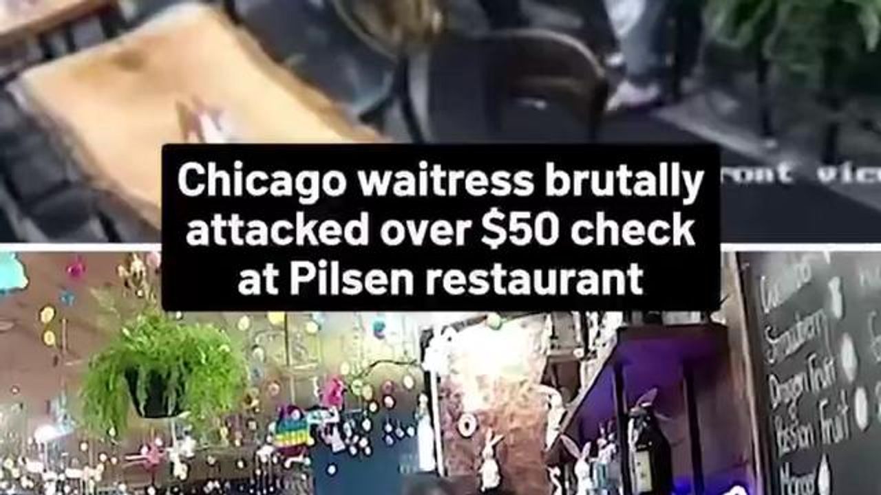 TOTAL 🦍 SHEBOON - Brighteon .com