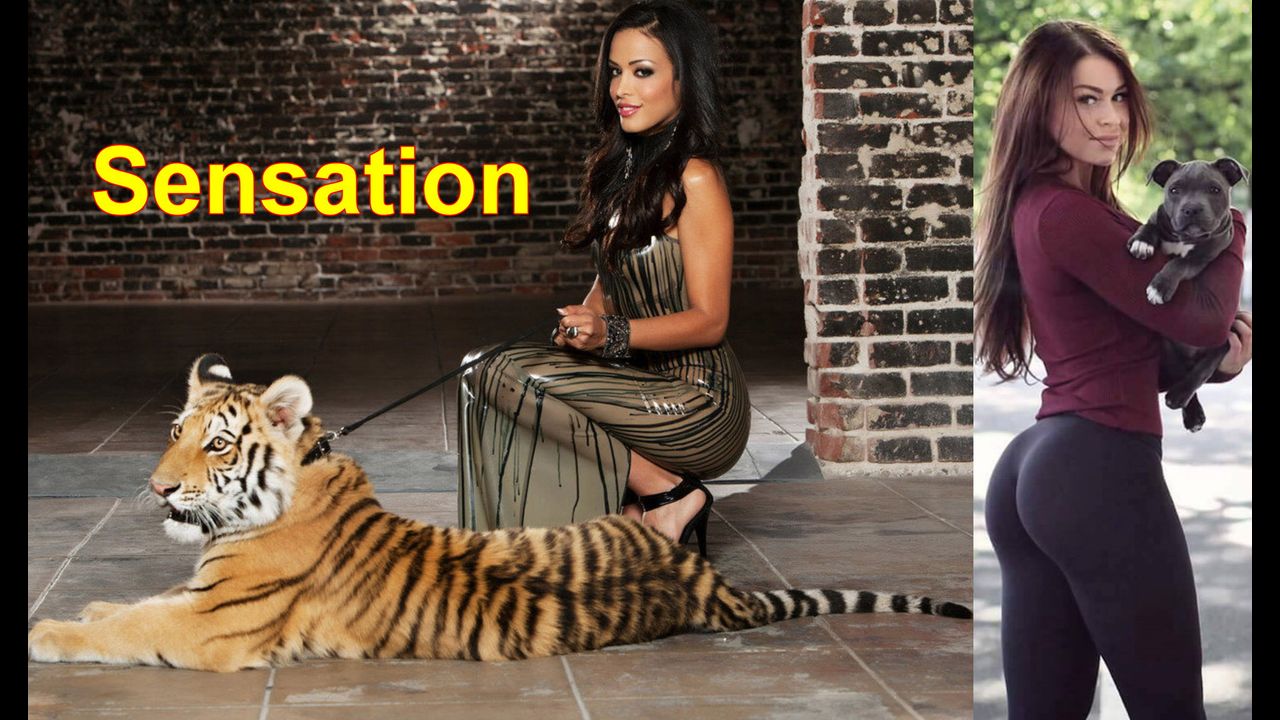 Dogs, Dolhins, Eagles, Lions n Parrots. All in 1 Video. - Brighteon.com