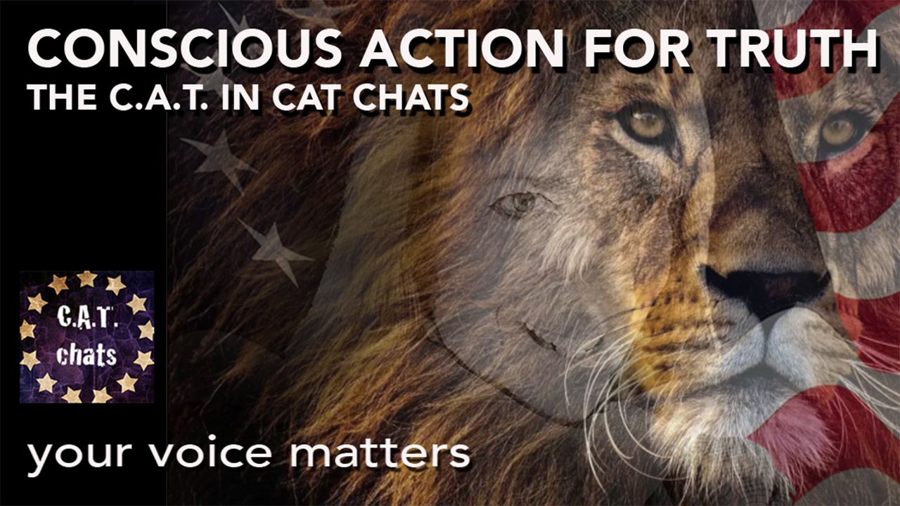 TREASONOUS CORRUPTION IN NEW MEXICO HALLS OF POWER WITH ERIN CLEMENTS ...