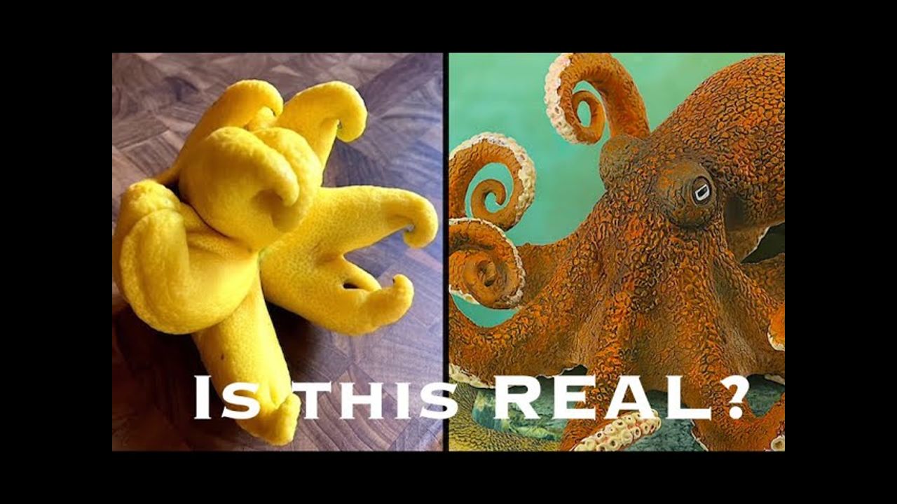 'Freaks of Nature' - Bizarre Mutants Unlike Anything You've EVER Seen ...